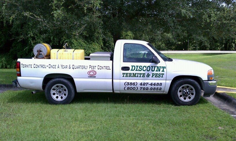 Discount Termite and Pest – Quality Service at an Affordable Price